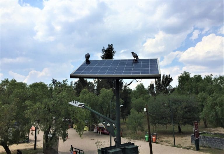 La central de abasto y sus paneles solares bajo la normatividad del ...