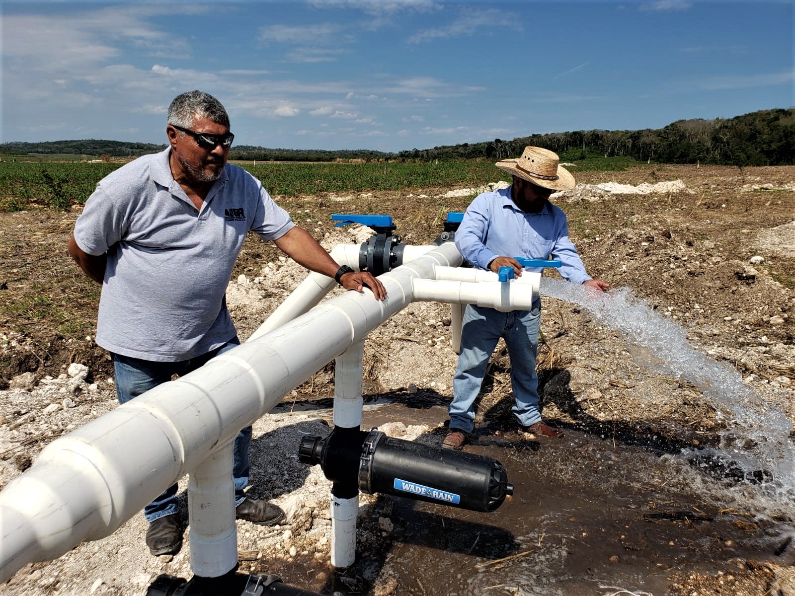 “Son tan exitosos los sistemas de riego con energía solar que la ...