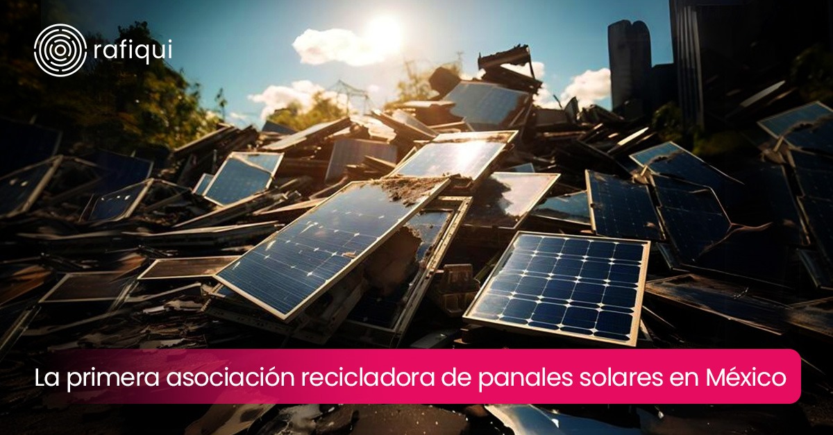 Rafiqui, primera recicladora de paneles solares en México – pv magazine ...