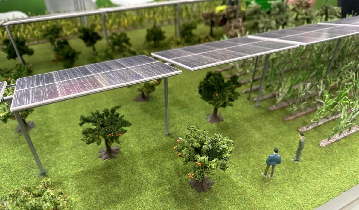 La agrovoltaica podría generar más de 1 billón de dólares en ingresos ...